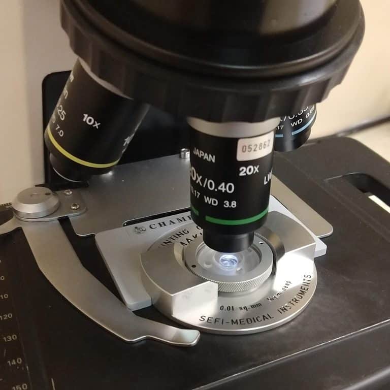 Fertility Evaluation – Family Beginnings